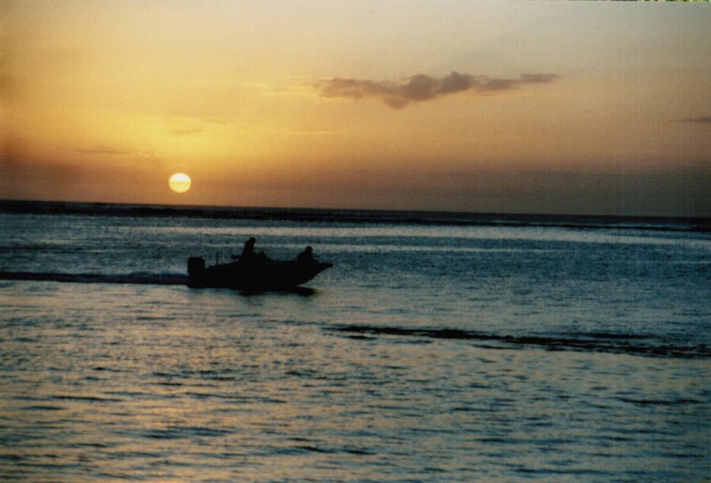 Morne De Brabant, Mauritius – duck-links.com