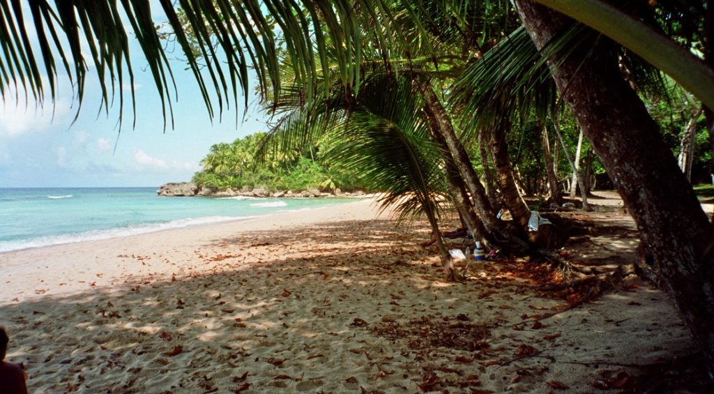 Dominican Republic – duck-links.com