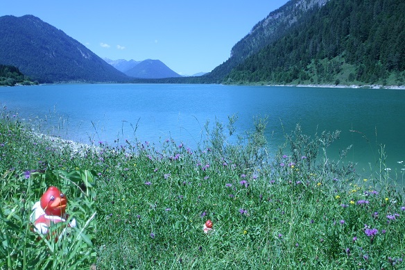 Upper Isartal, Oberes Isar River Valley – duck-links.com