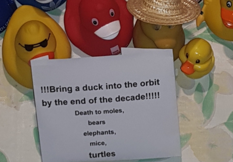 Demonstr-Anten – duck-links.com